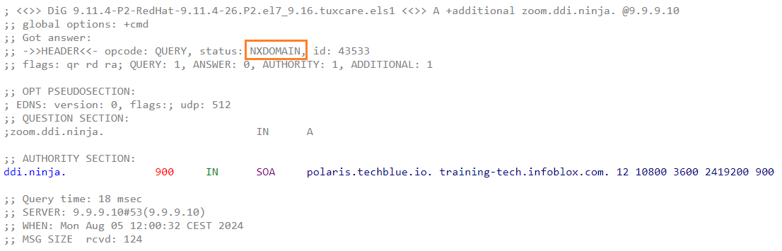 Interpreting DNS Lookup Responses (1518)