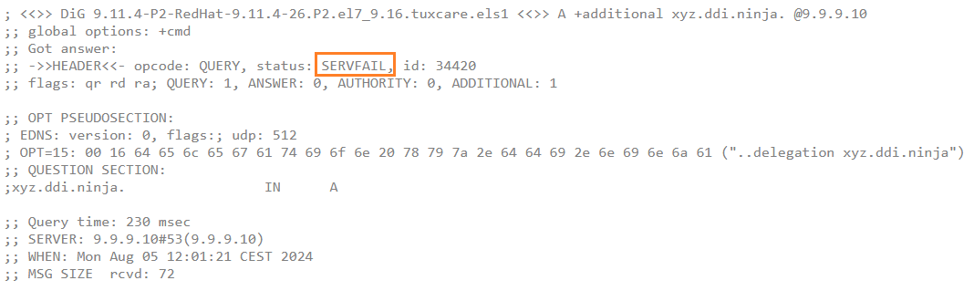 Interpreting DNS Lookup Responses (1518)