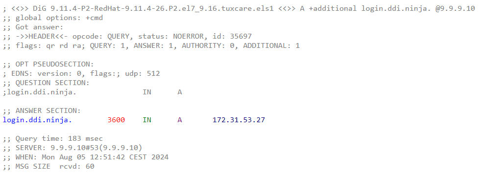 Interpreting DNS Lookup Responses (1518)