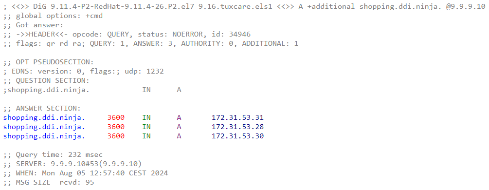 Interpreting DNS Lookup Responses (1518)