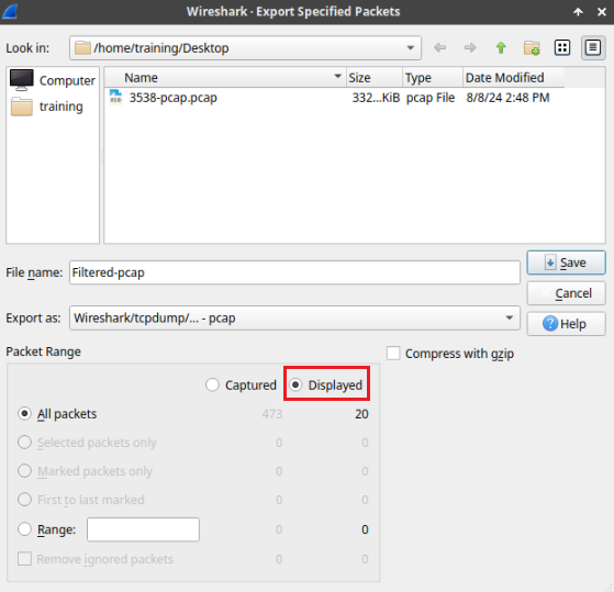 Filtering DNS Packet Capture with Wireshark (3538)