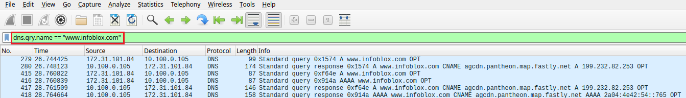 Filtering DNS Packet Capture with Wireshark (3538)