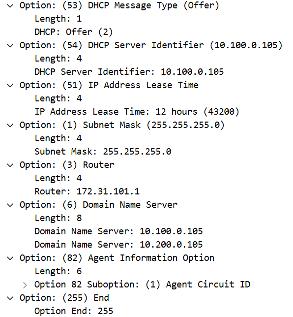 3537 - Analyzing DHCP Options with Wireshark